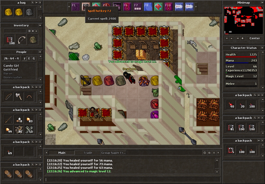 Magic Level 12 = Rogue - Gallery Screenshot - Zezenia Online